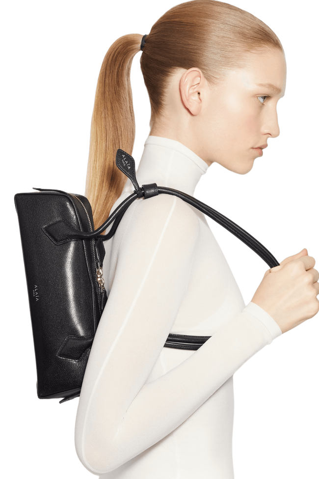 Alaia Le Teckel Small Bag In Goatskin – Kinship JP